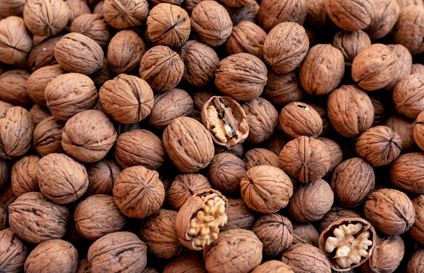 Walnut Dry Fruit: A Complete Guide to Nature's Brain Food – Eatabbly